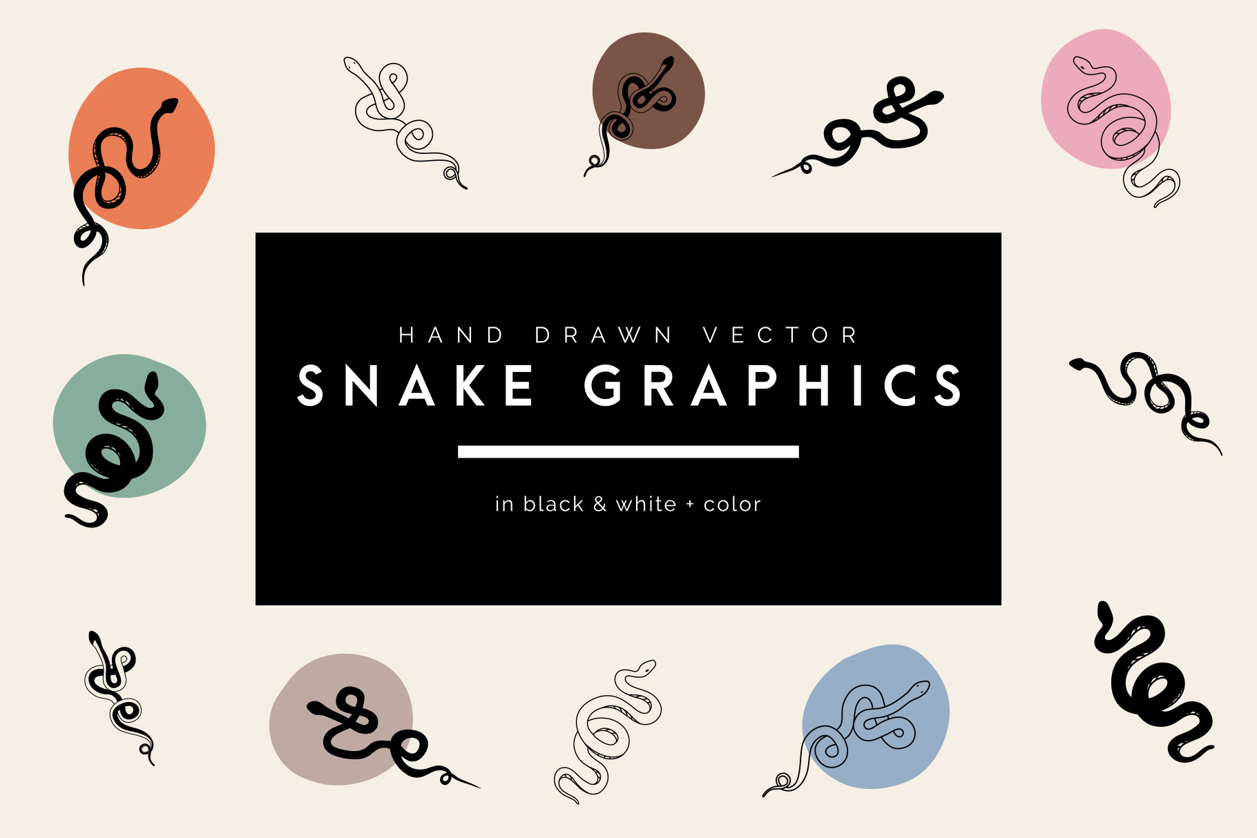 Vector Snake Graphic Illustrations
