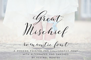 Great Mischief Hand Calligraphy, a Script Font by INKMETHIS