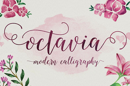 Clarkson Script | Script fonts ~ Creative Market