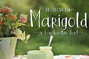 Marigold Font, a Handwritten Font by Groovy Fonts by Mindy | Creative ...