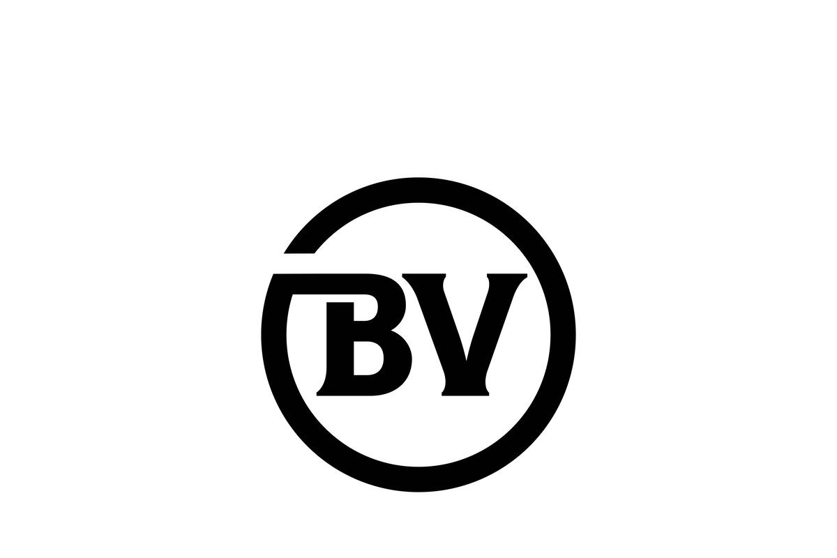 BV Logo design vector template, a Branding & Logo Template by xcoolee