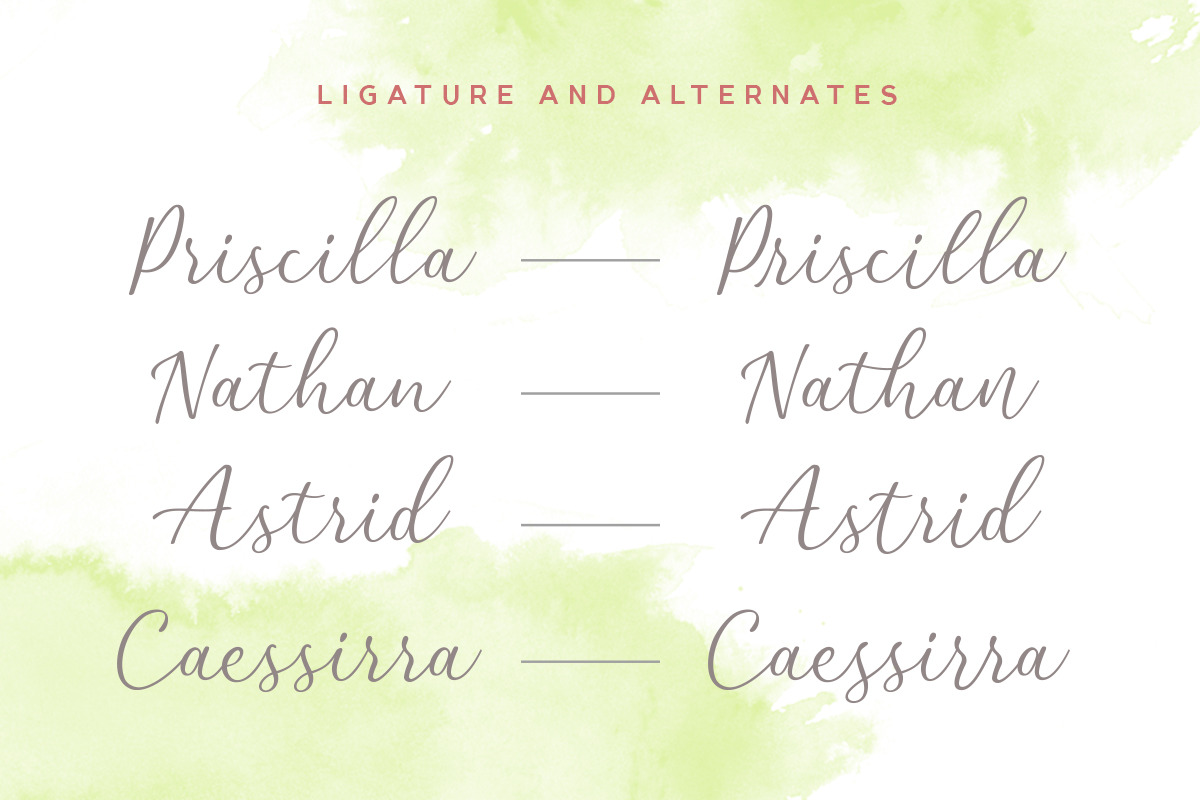 Challore Script, a Script Font by IronbirdCreative | Creative Market