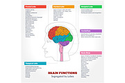 Human brain anatomy and functions, a Person Illustration by Sunshine ...