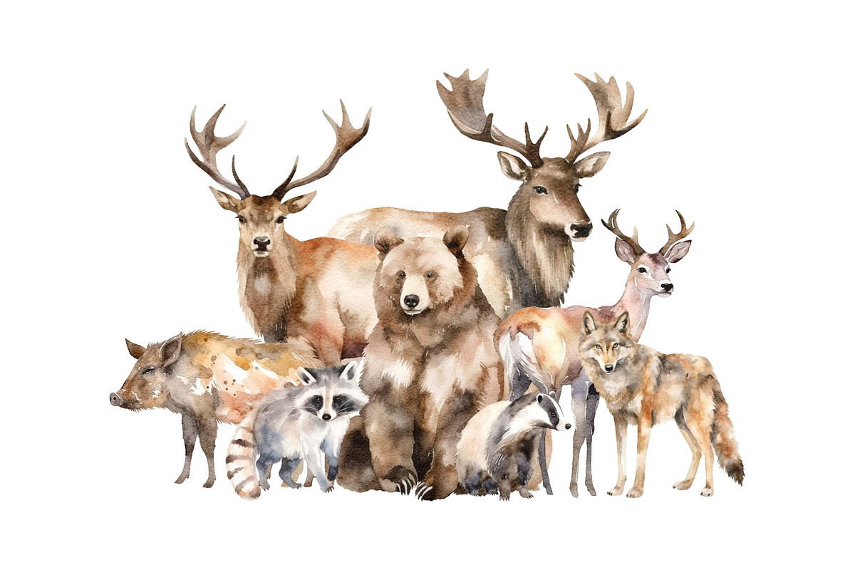 Forest animals bundle, an Animal Illustration by TheCuteShop
