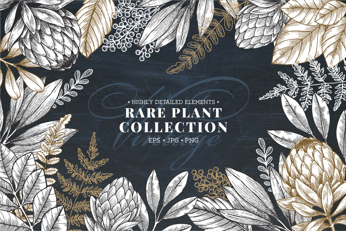 Rare plant collection, a Decorative Illustration by adehoidar ...