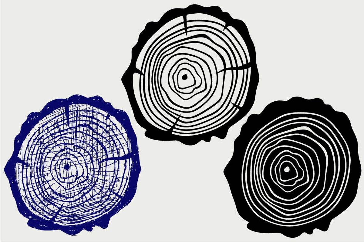 Tree stump SVG, an Outline Icon by LineworkStock