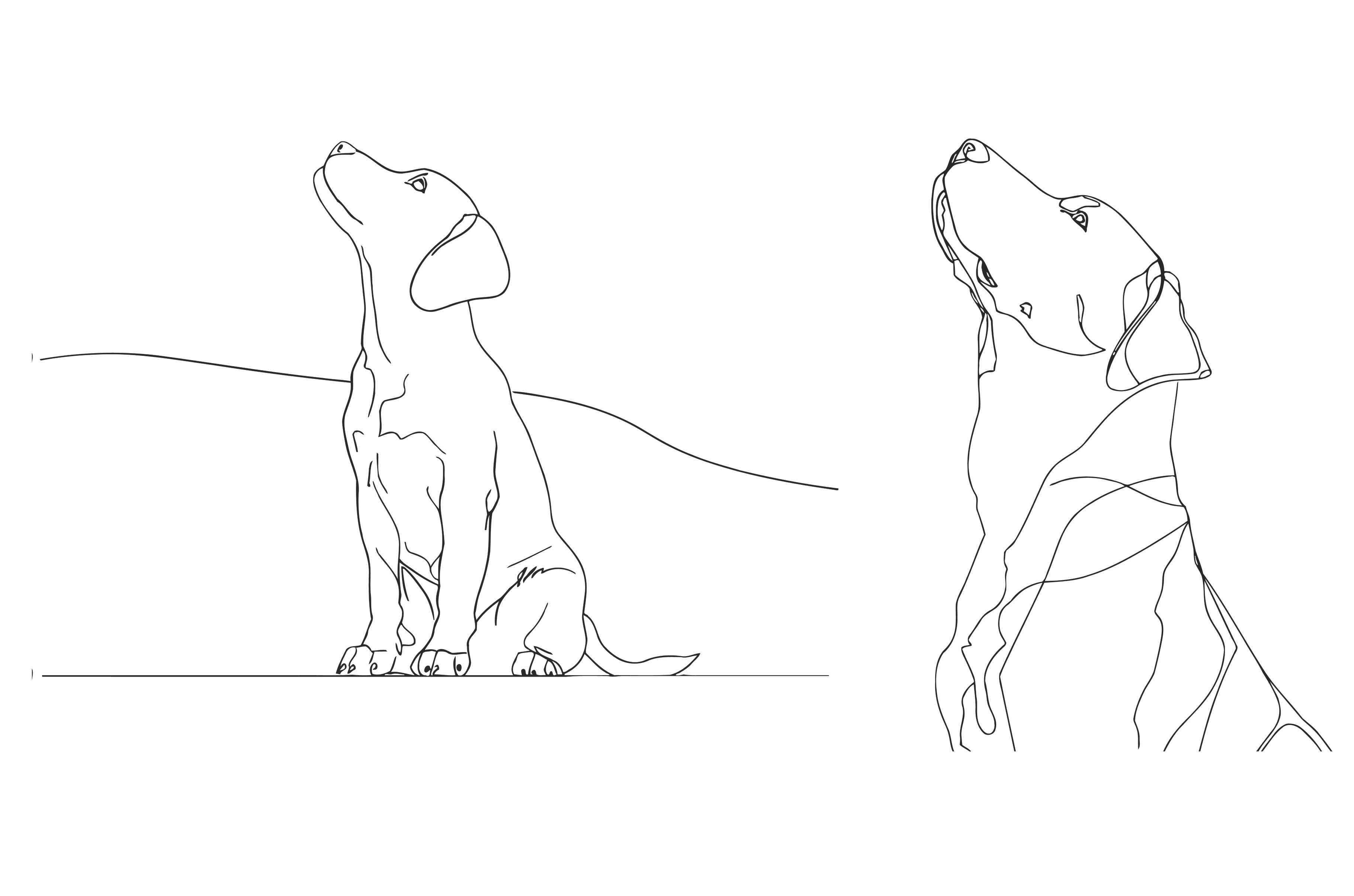 Continuous single line art of dog, an Animal Illustration by ZinetroN