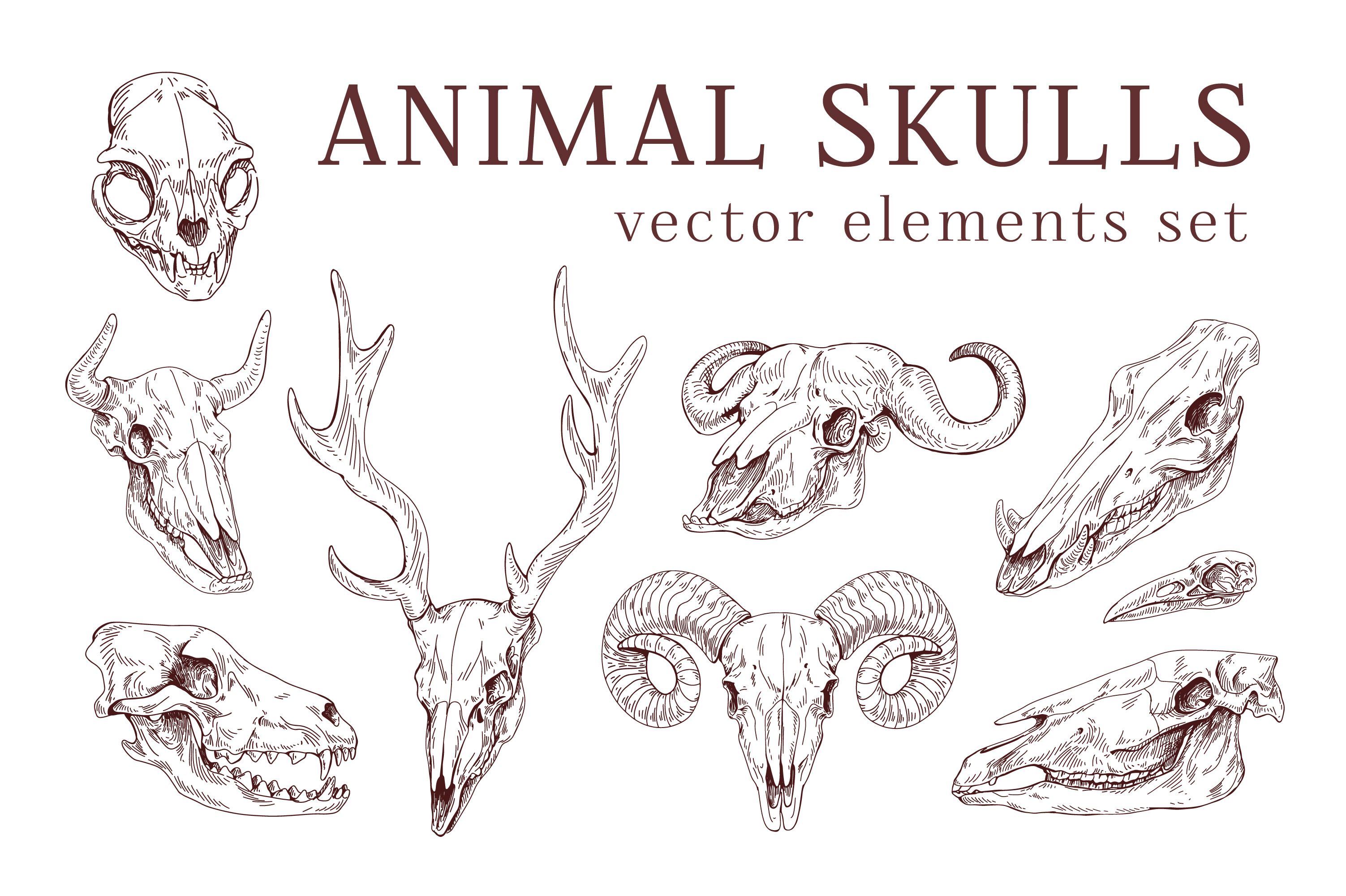 Hand drawn animal & bird skulls set, an Animal Illustration by Good Studio