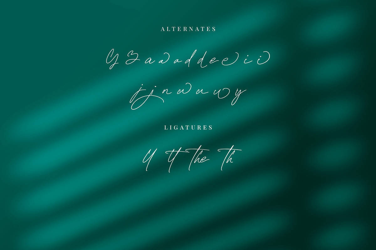 Emily Yorke - Signature Script, a Script Font by Krakenbox Studio
