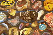 Watercolor Fossils Clipart, an Education Illustration by DigitalArtsi