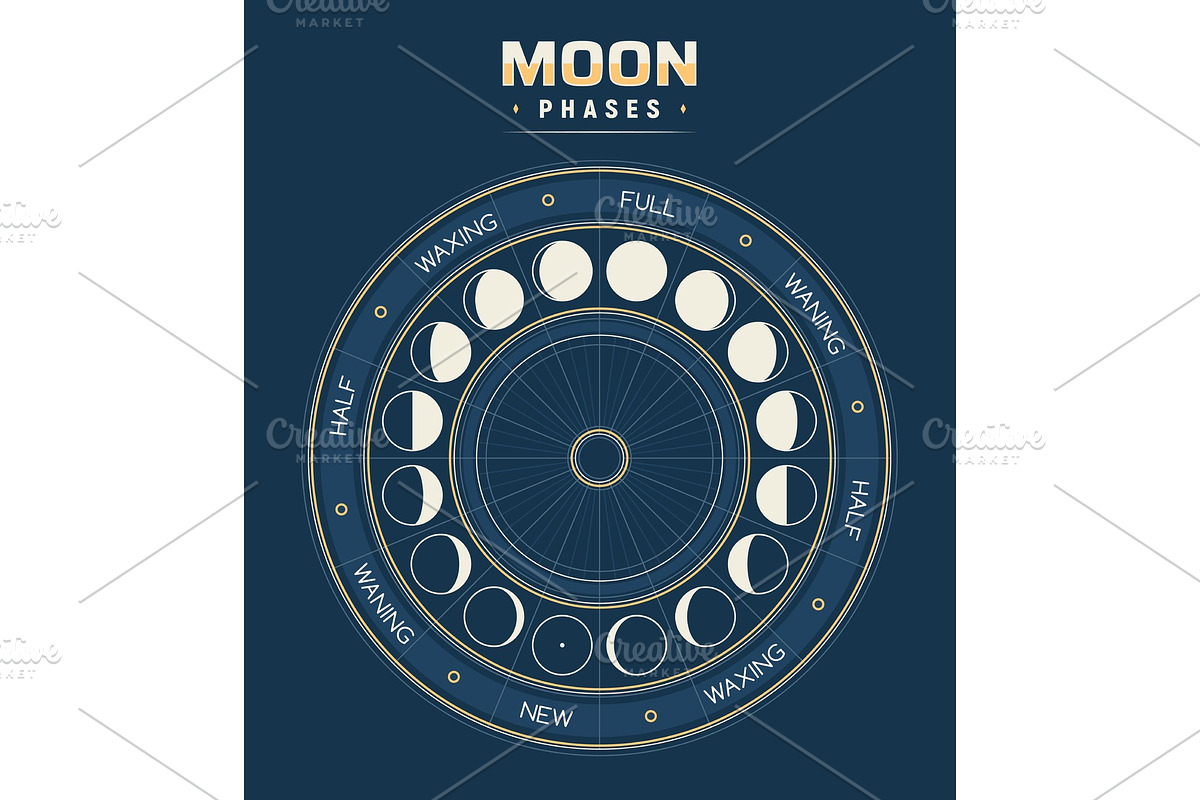 Vector calendar of lunar cycles, an Object Illustration by Buch&Bee