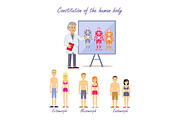 Constitution of the Human Body Types, a Healthcare Illustration by robuart