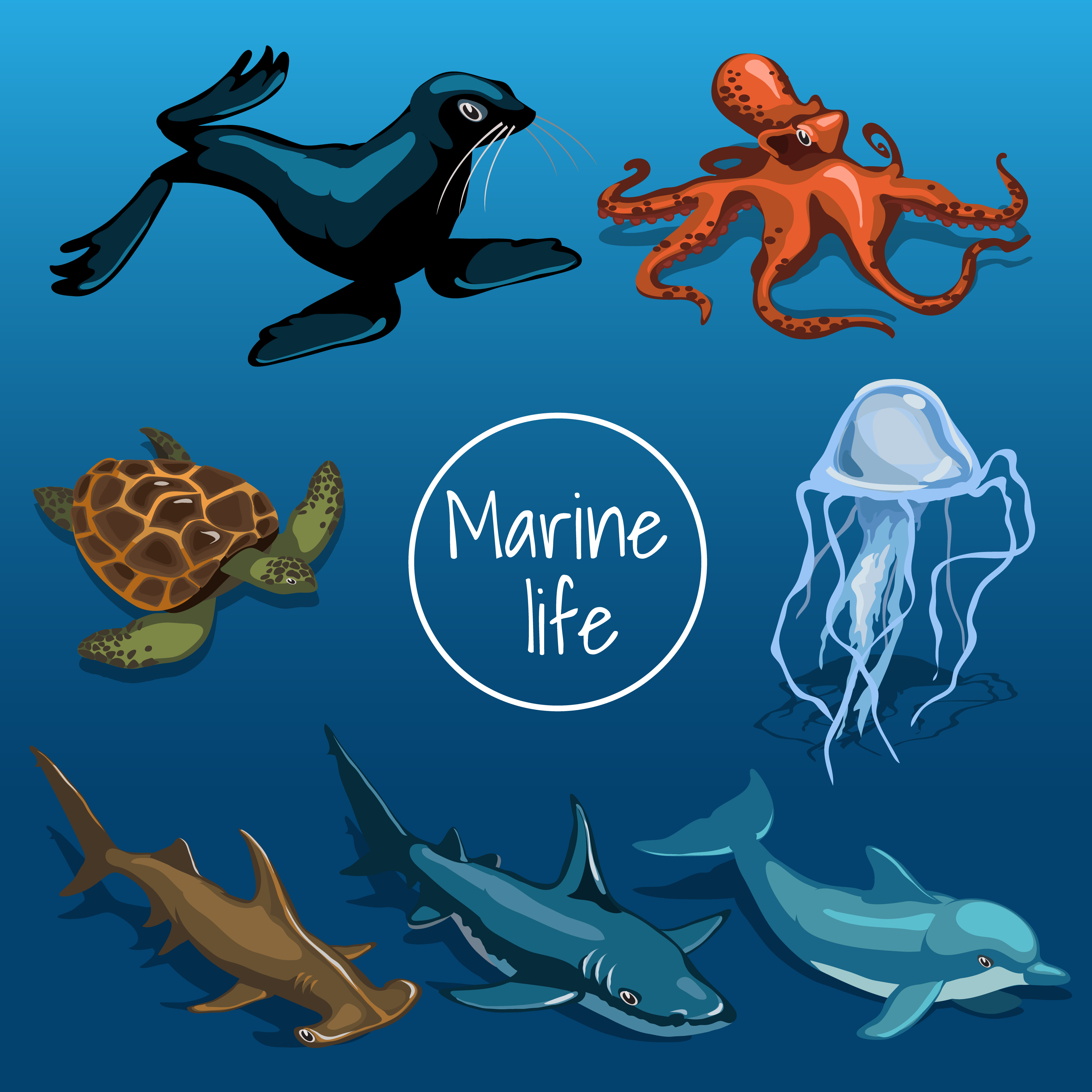 Collection of marine animals, an Animal Illustration by ...