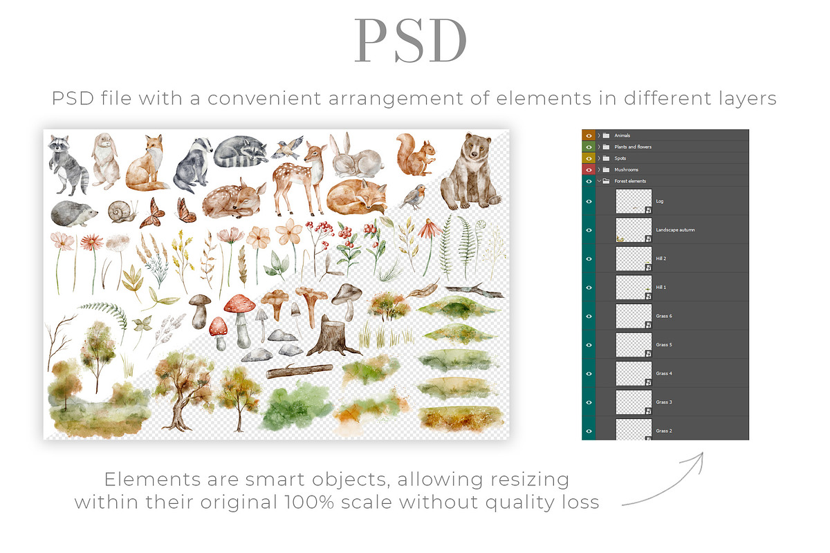 Woodland Animals Watercolor Clipart, an Illustration by Alisles