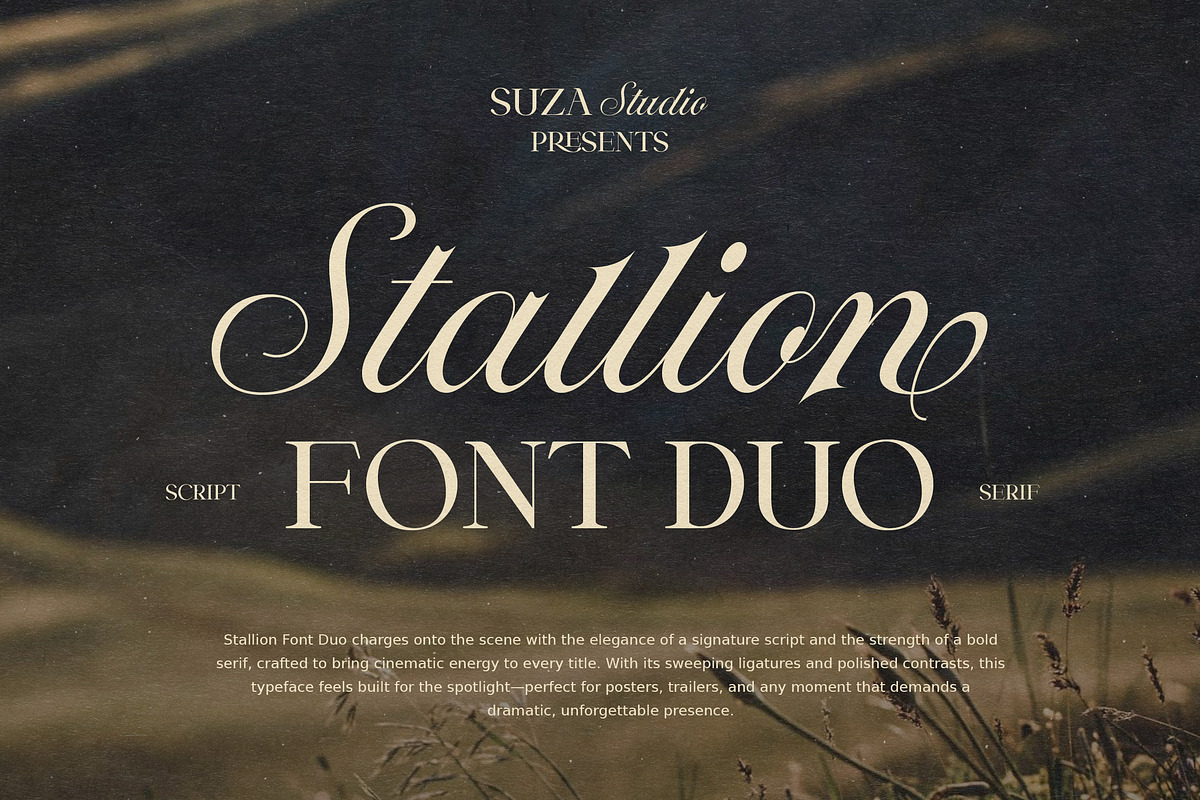 Stallion Font Duo