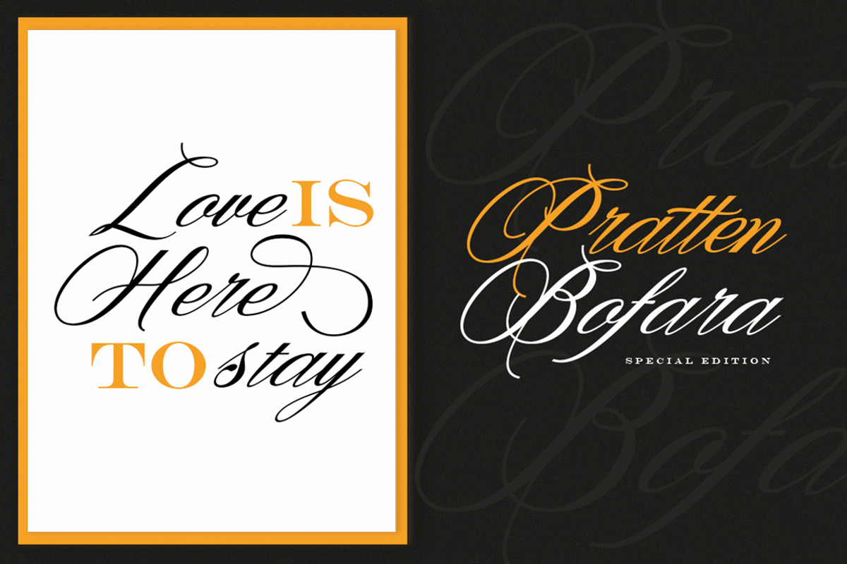 Denita Script, a Script Font by Solidtype