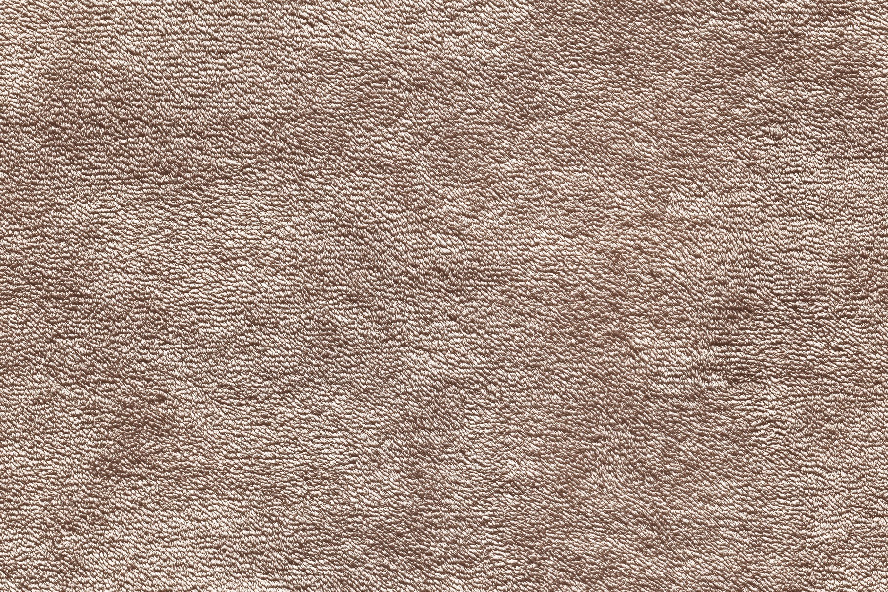 Seamless texture of soft, beige Velvet fabric with a subtle sheen ...