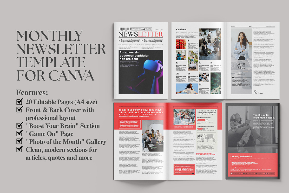Monthly Newsletter Template for Canva