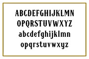 Carlingford, a Serif Font by Twicolabs Fontdation