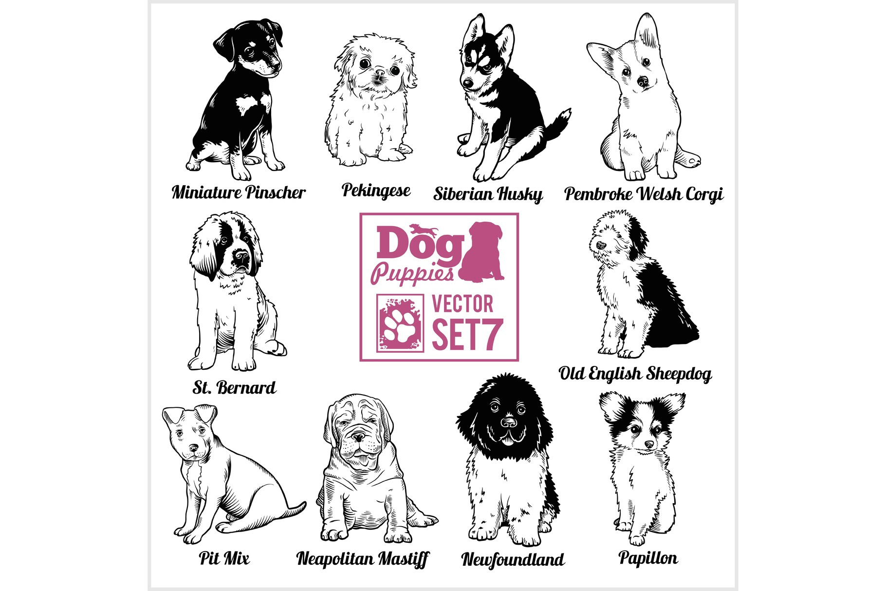 Dog Puppies - Vector set. Funny dogs, an Animal Illustration by Digital ...