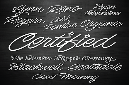 Sarah Script, a Handwriting Font by Borges Lettering