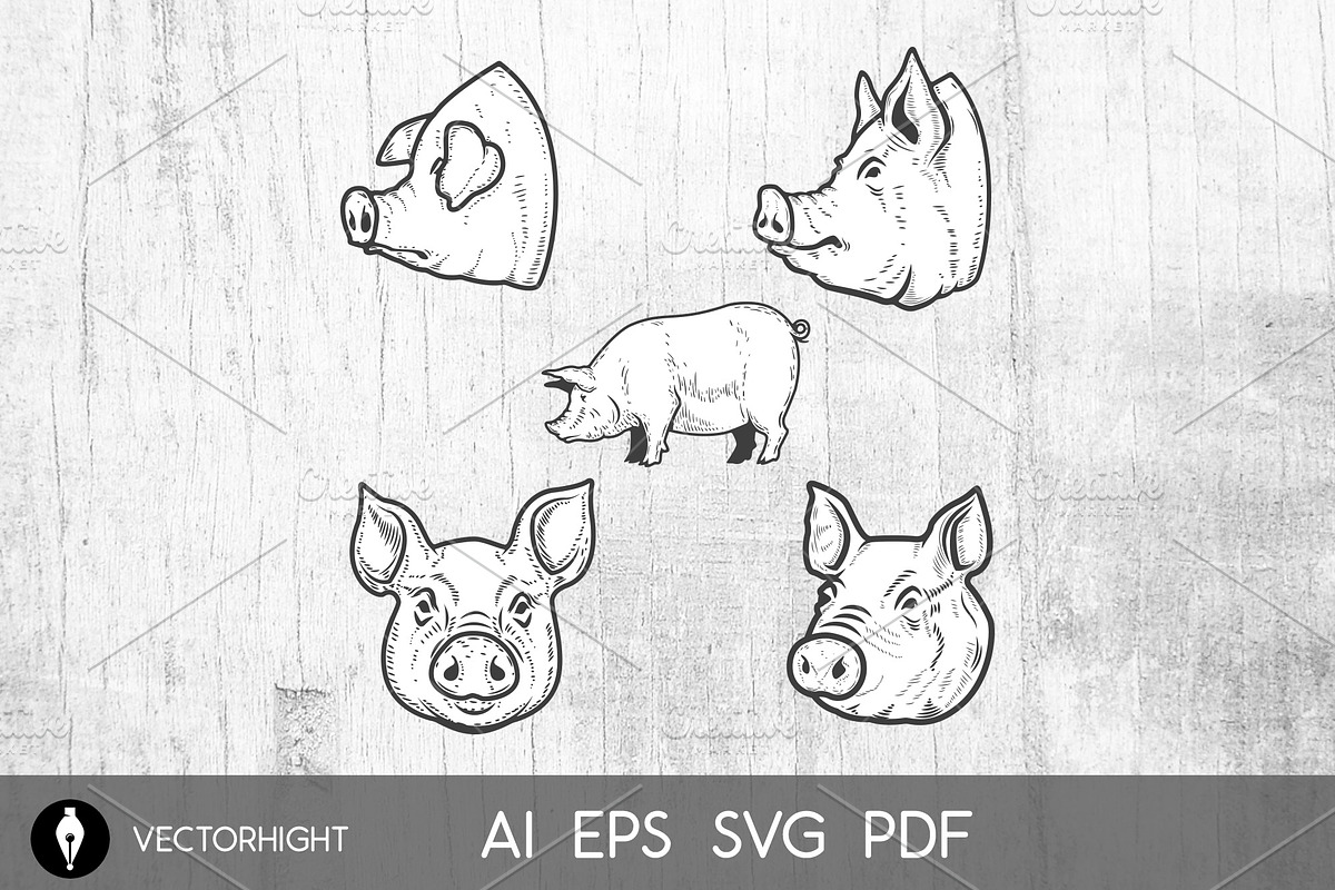 Set of pig illustrations. Pork head., an Object Graphic by Vectorhight