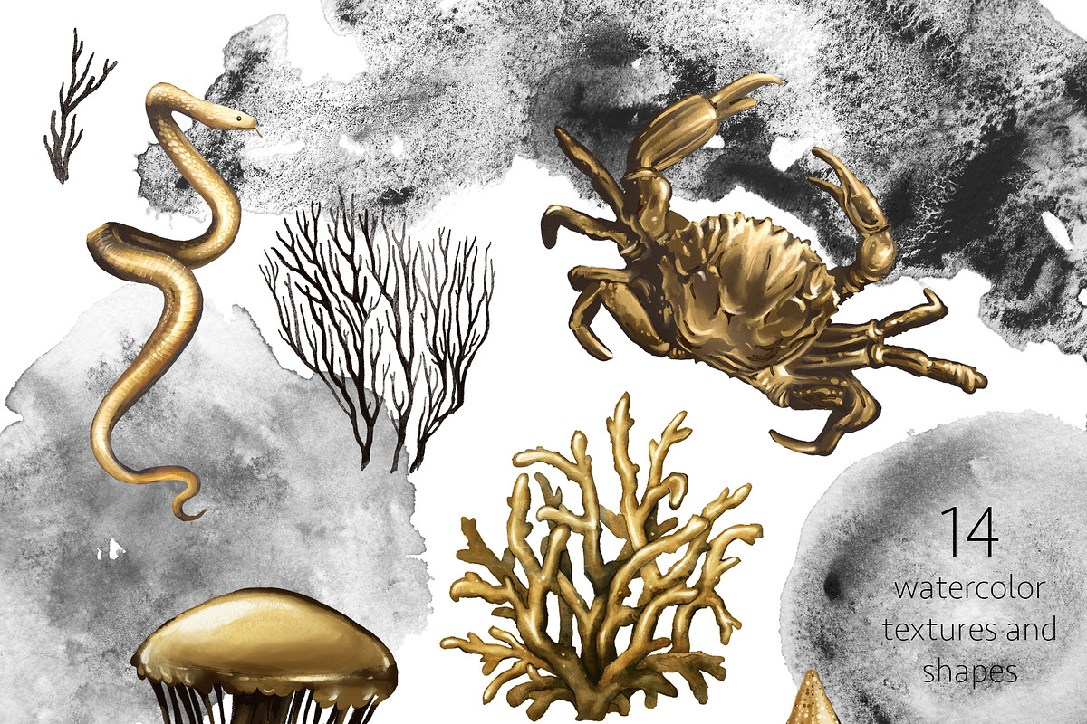GOLDEN SEA, an Animal Illustration by Eisfrei