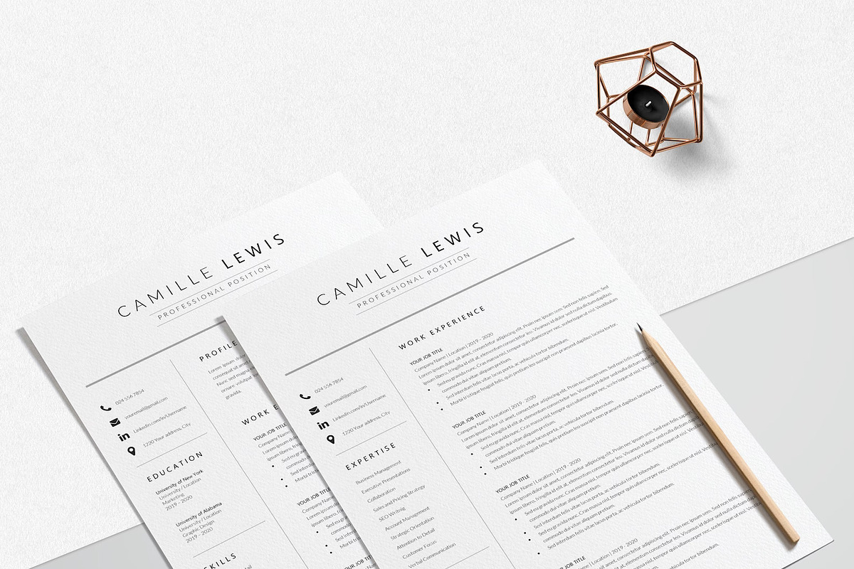 Professional Resume Design Template, a Resume Template by LucaTheme