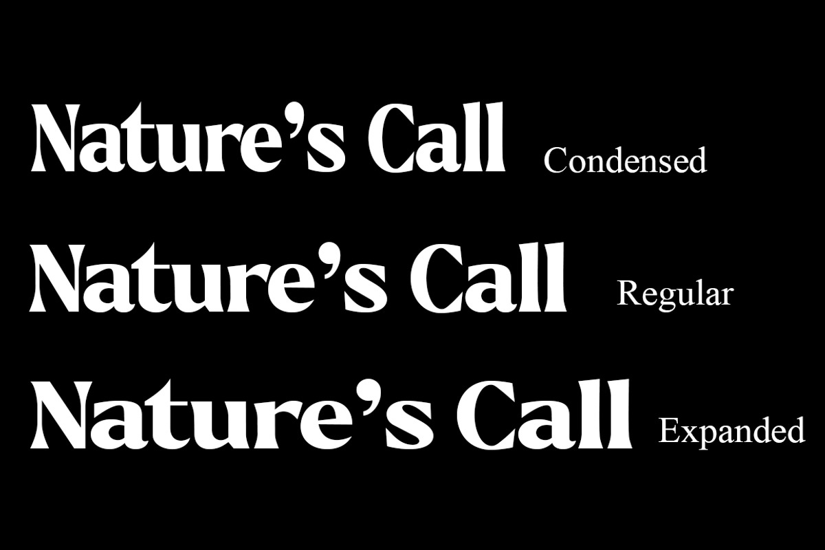 Callum Text Serif | 9 Font, a Serif Font by Positive TypeFoundry