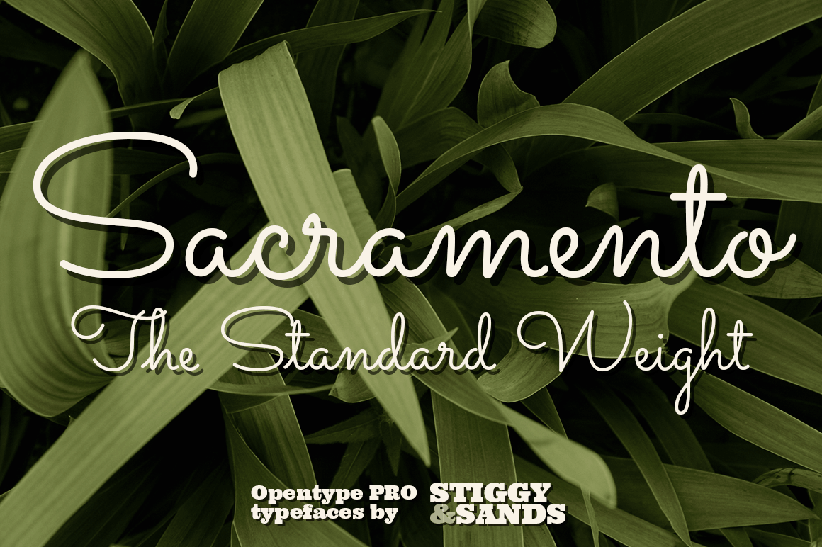 Sacramento Pro, a Script Font by Stiggy & Sands