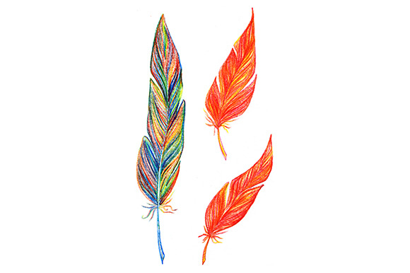 Rainbow colorful feather set, an Animal Illustration by Art By Silmairel