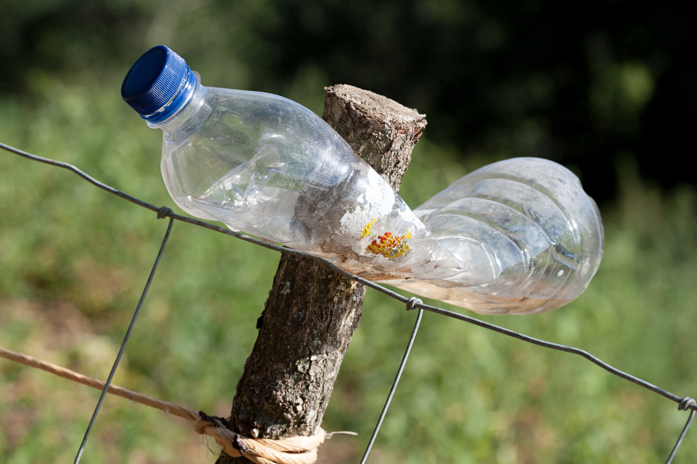 bottle to scare animals in orchard, an Abstract Photo by Shootdiem ...