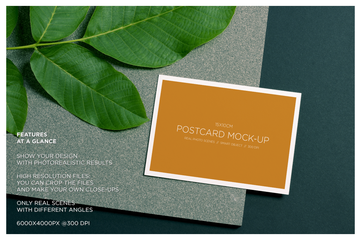 Postcard Mock-up / Real Scenes, a Print Template by dumitrasconiu.design