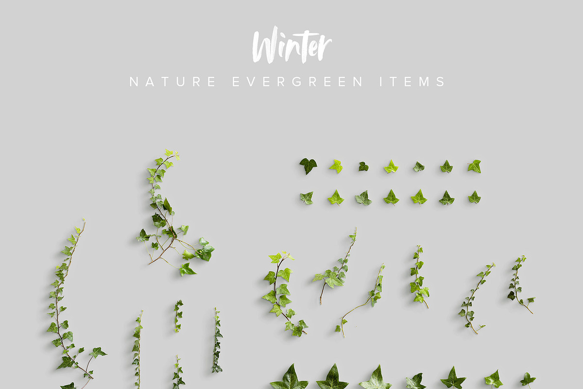 Winter Scene Creator Bundle, a Books & Magazine Mockup by Custom Scene