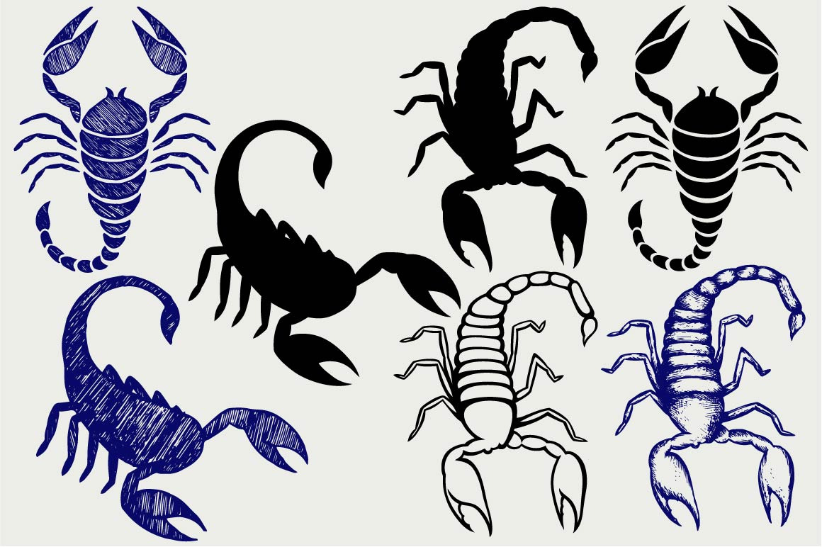 Many Emperor Scorpion SVG, an Outline Icon by LineworkStock