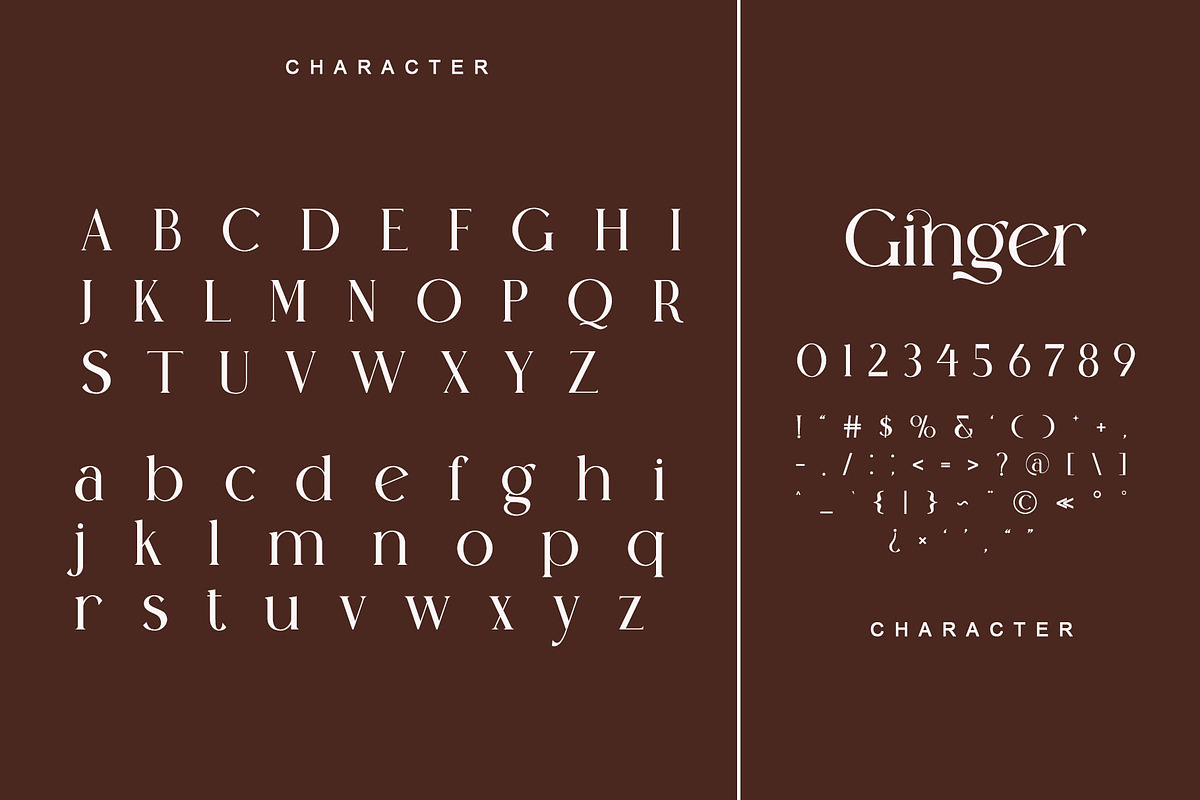 Ginger Ligature Serif Typeface, a Serif Font by Alfinart
