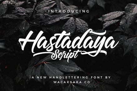 Sailoria | Script fonts ~ Creative Market