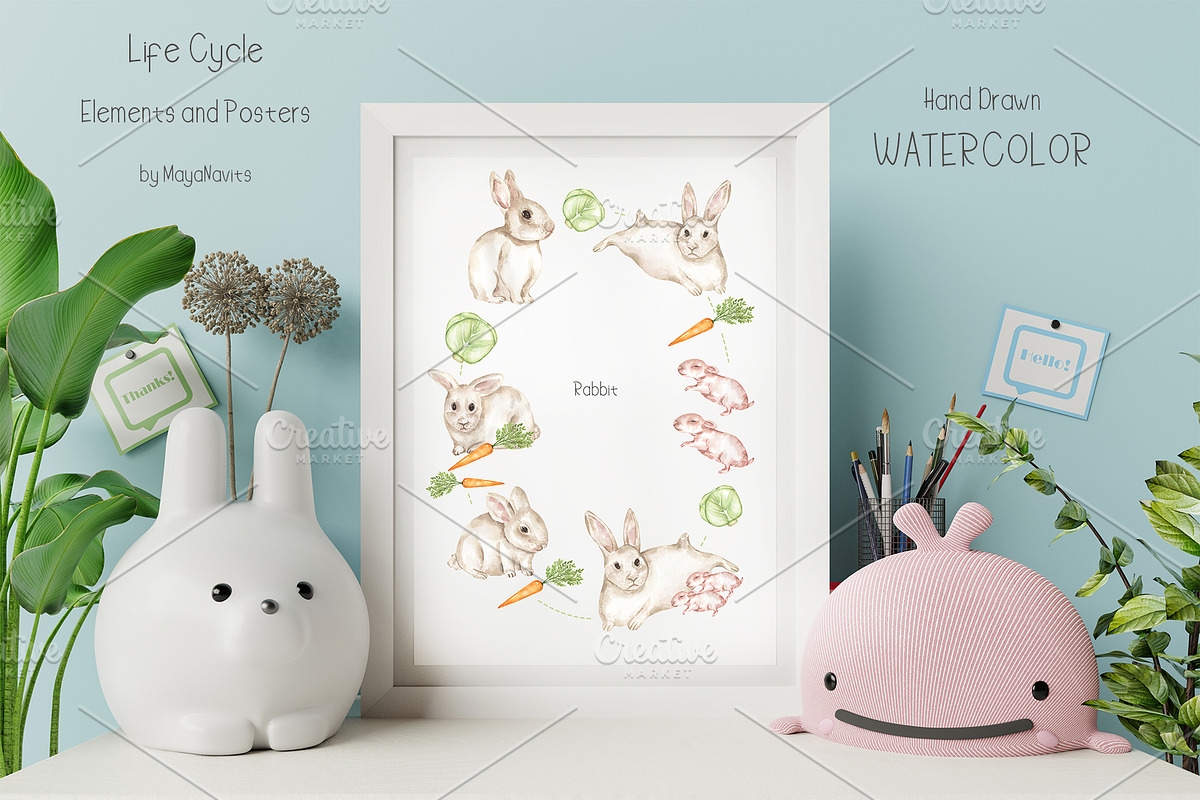 Watercolor Life Cycle Collection, an Education Illustration by MayaNavits
