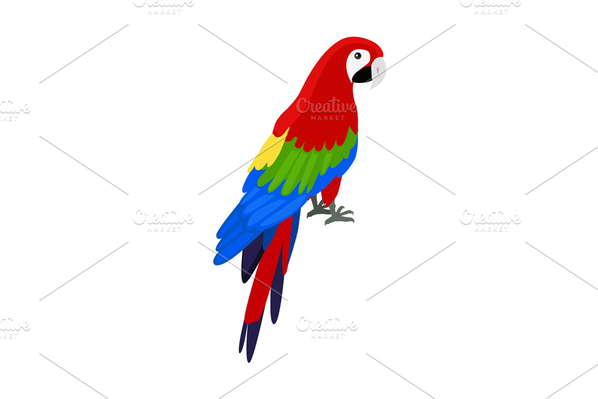 Ara Parrot, an Animal Illustration by robuart