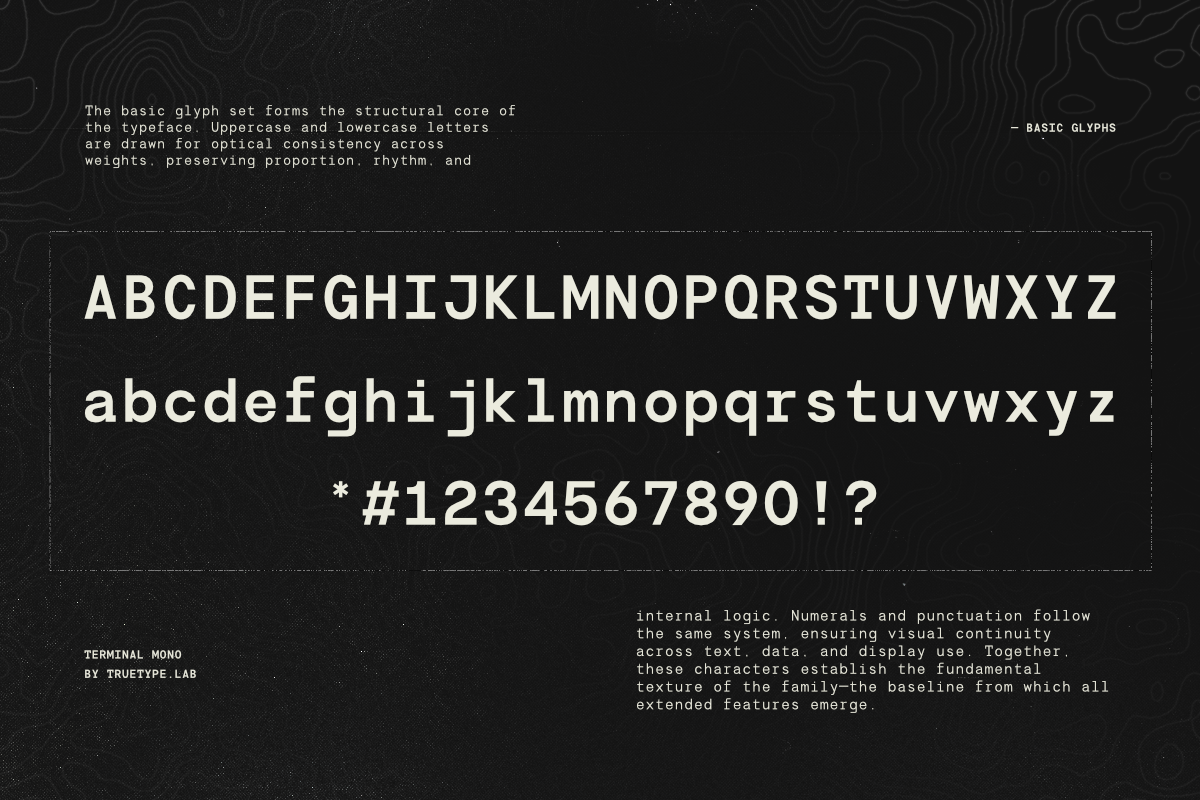 Terminal Monospace Precision structure