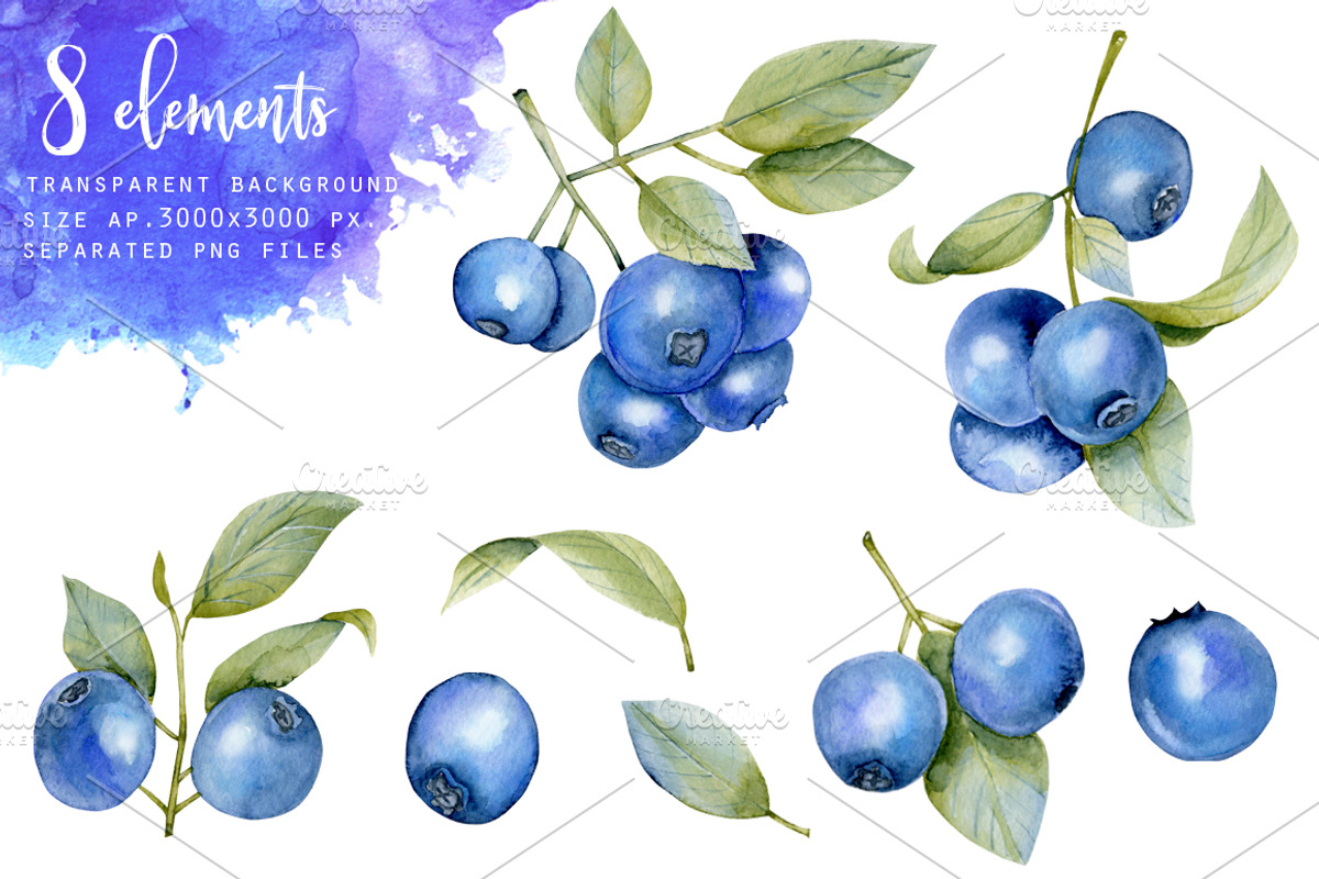 Blueberry. Watercolor clip art., a Decorative Illustration by Skliarova