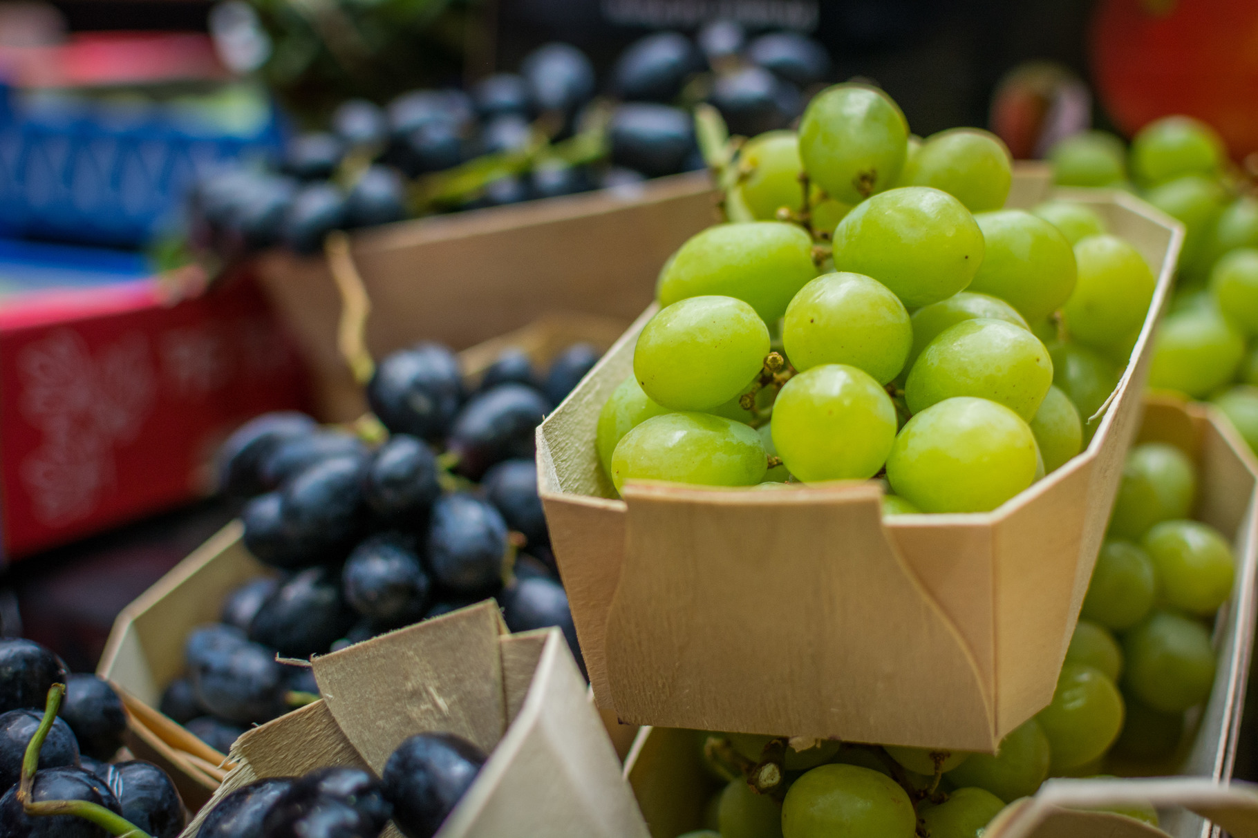 Packets of fresh grapes stock photo containing food and food photos, a ...