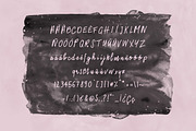 Hanni Script, a Script Font by friday supply
