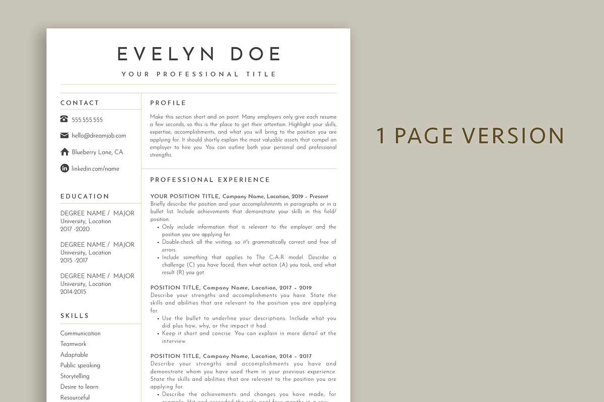 Clean Resume Template Word + Pages