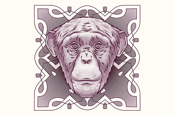 Engraving head of the monkey, an Animal Illustration by Krolone