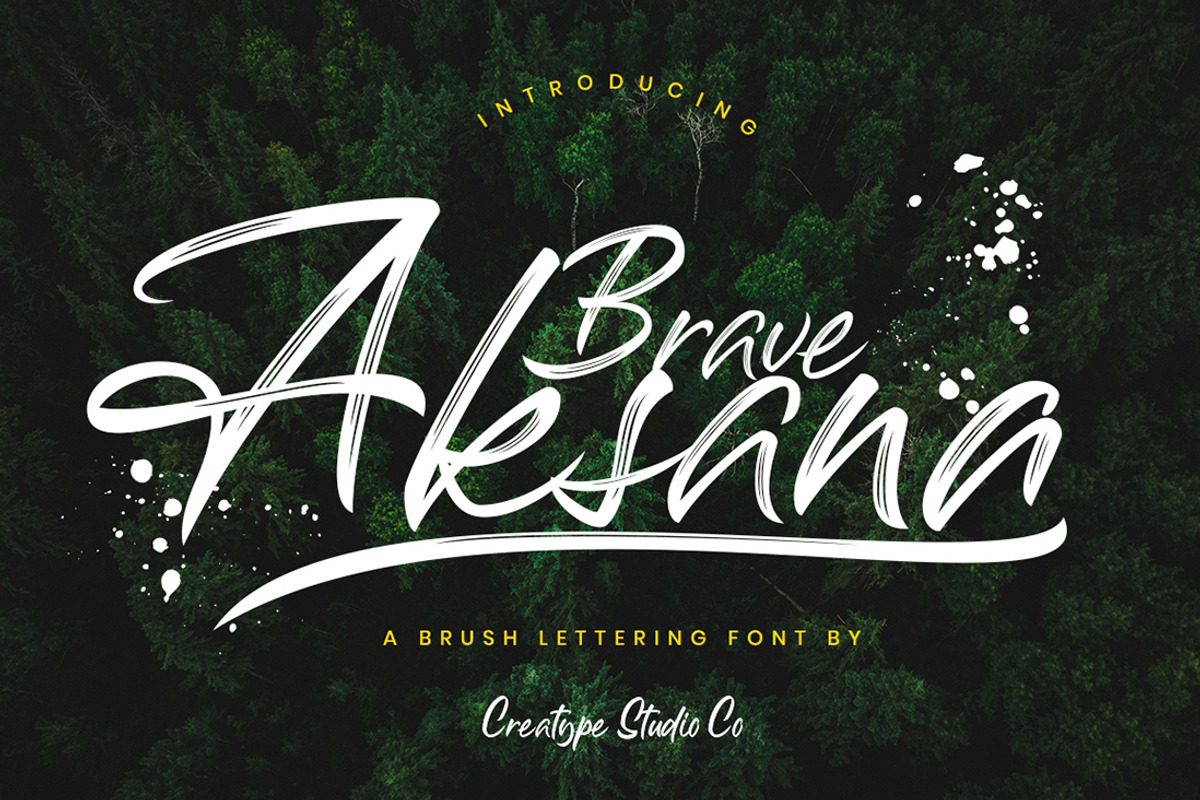 Aksana Brush Business Font, a Script Font by Creatype Studio