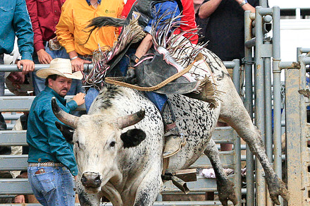 Vertical - The Chase, a Sports & Recreation Photo by RodeoPixels ...