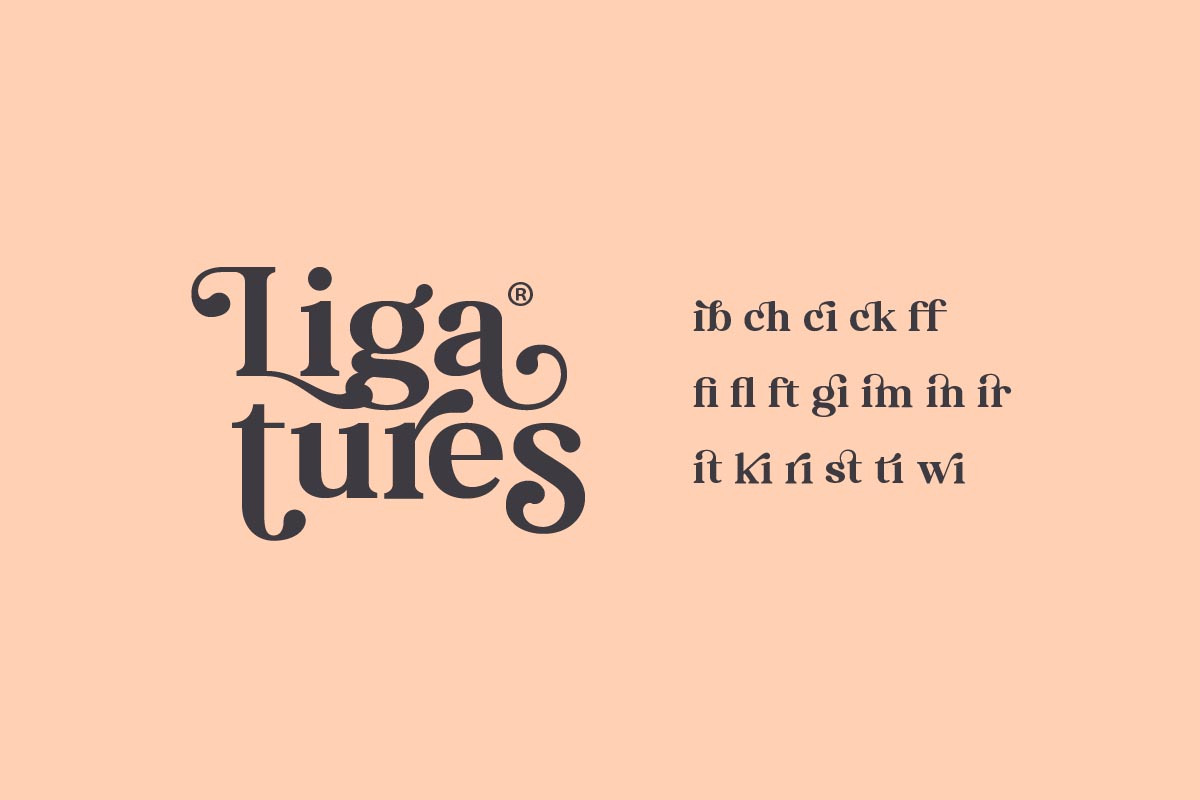 Cagily Font, a Serif Font by vuuuds