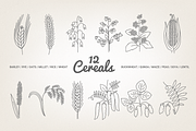 12 Cereals - illustration & patterns, a Food Illustration by miumiu