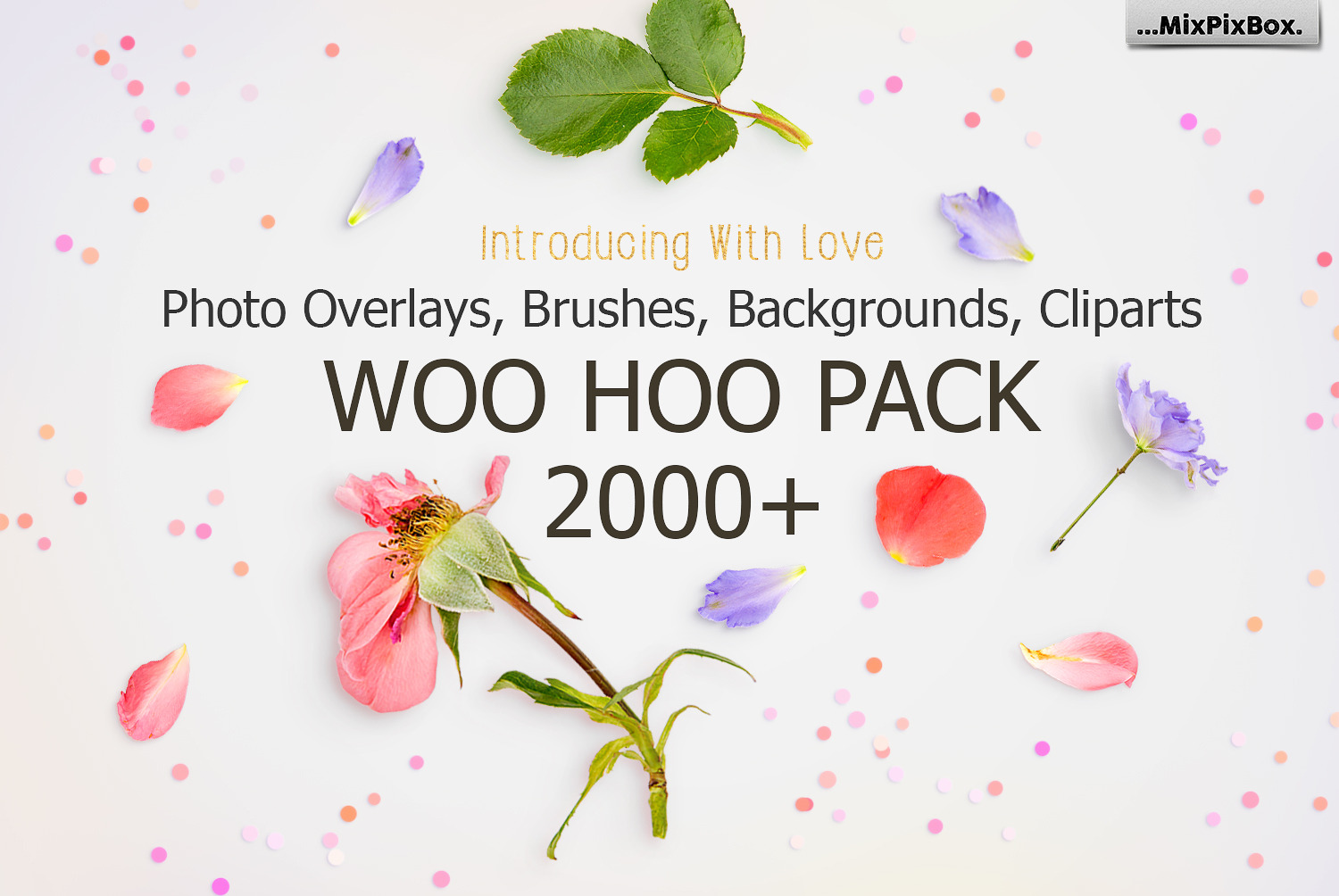 WOO HOO PACK, an Action Add-On by MixPixBox